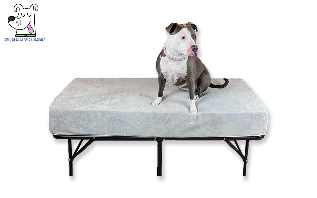 A Bed Extension for Your Dogs – Dog Bed Mattress Extender